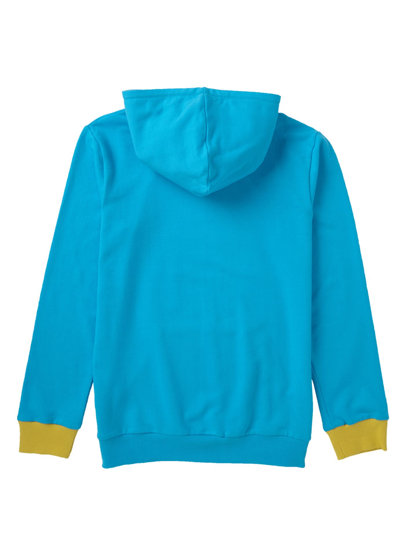 Buy Boys Blue Hooded Sweatshirt Online at 47% OFF | Cub McPaws
