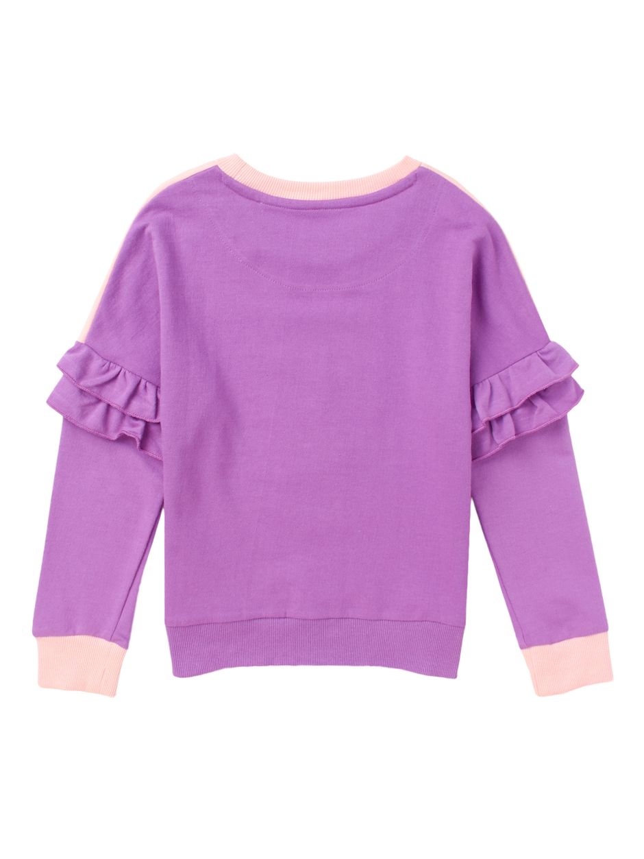 Buy Girls Sweatshirt - Sequin With Ruffled Sleeves - Purple Online at ...
